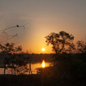 Yala Block 5 safari tour in Sri Lanka - Tree Tops Jungle Lodge